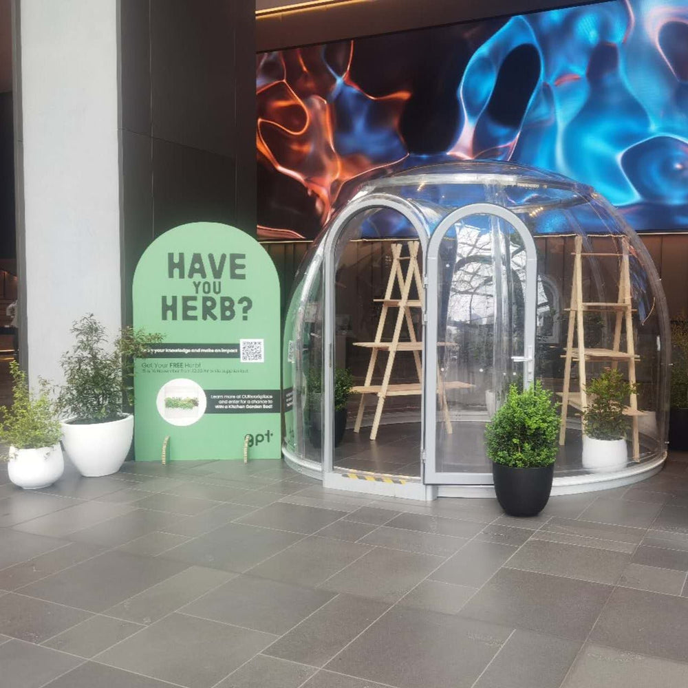 Igloo for hire